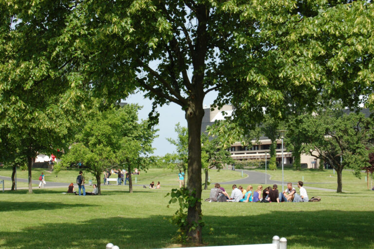 Opening Reception | 18th ICMRM